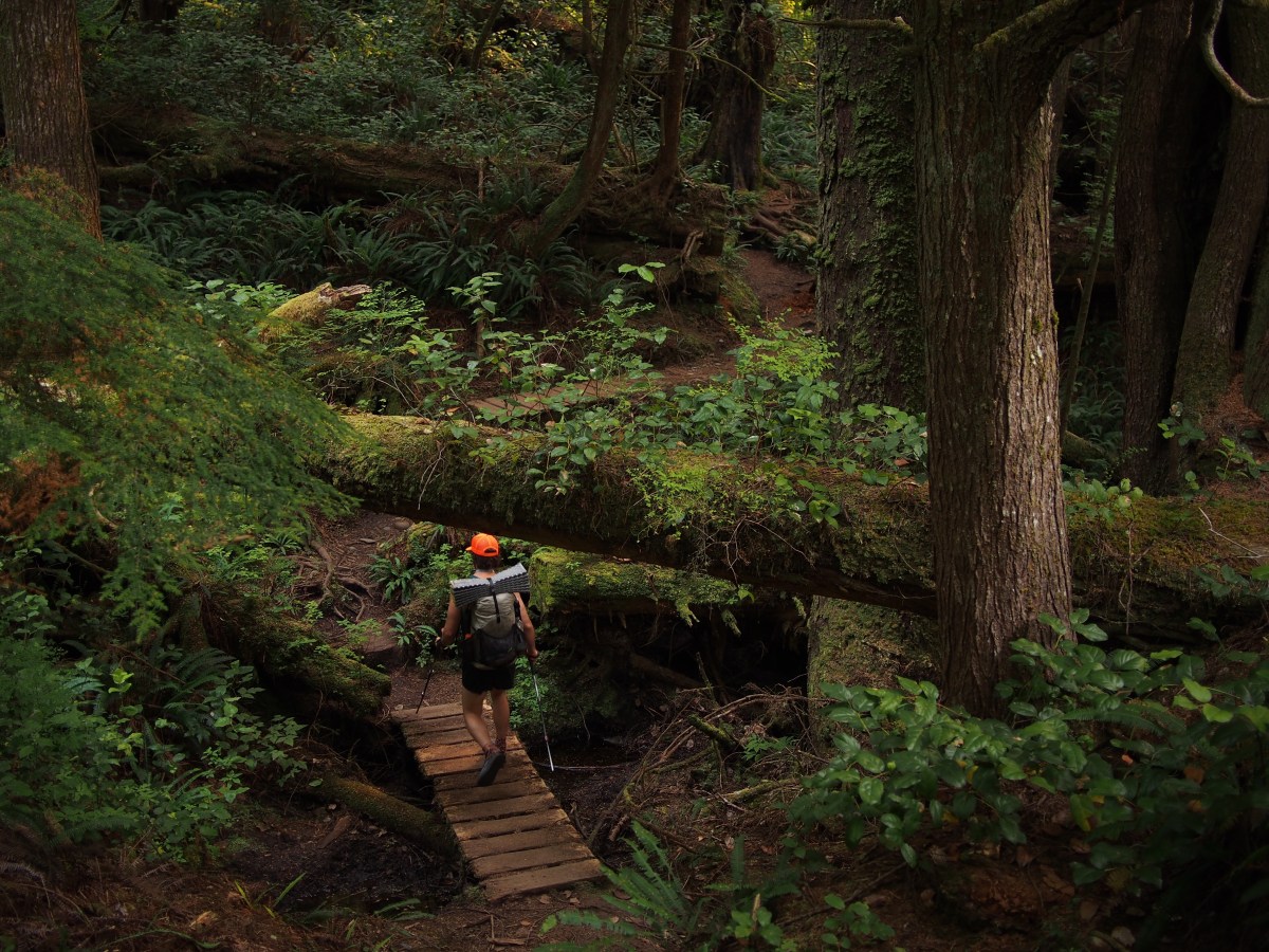 Misc. | Endless P Summer